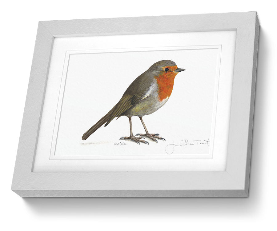 Robin Framed Print Bird Painting Art Print – sherwoodoutdoors